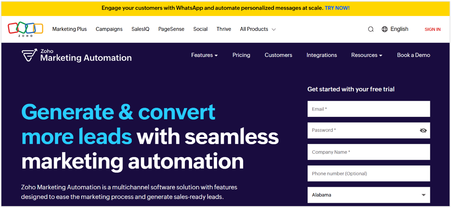 Marketing Automation for Agencies: Top Tools for Scaling