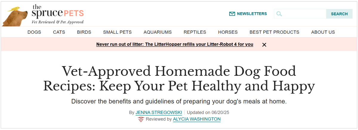 The 12+ Best Niche Site Ideas to Make Money - SEOptimer