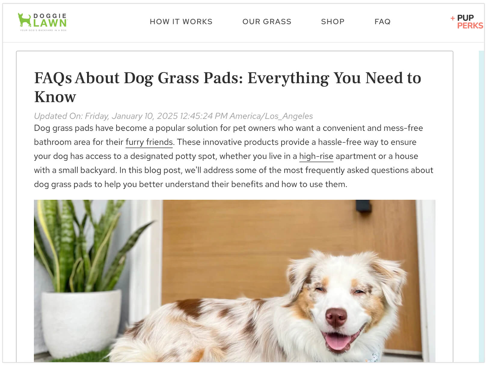 10 Types of Blog Posts that Grow Traffic (with Examples)